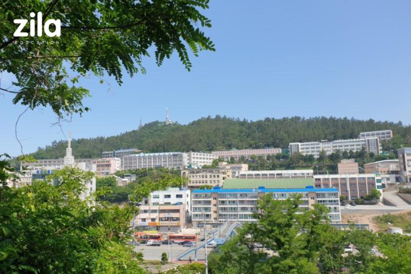 Trường Đại Học Khoa Học Mokpo – 목표과학대학교